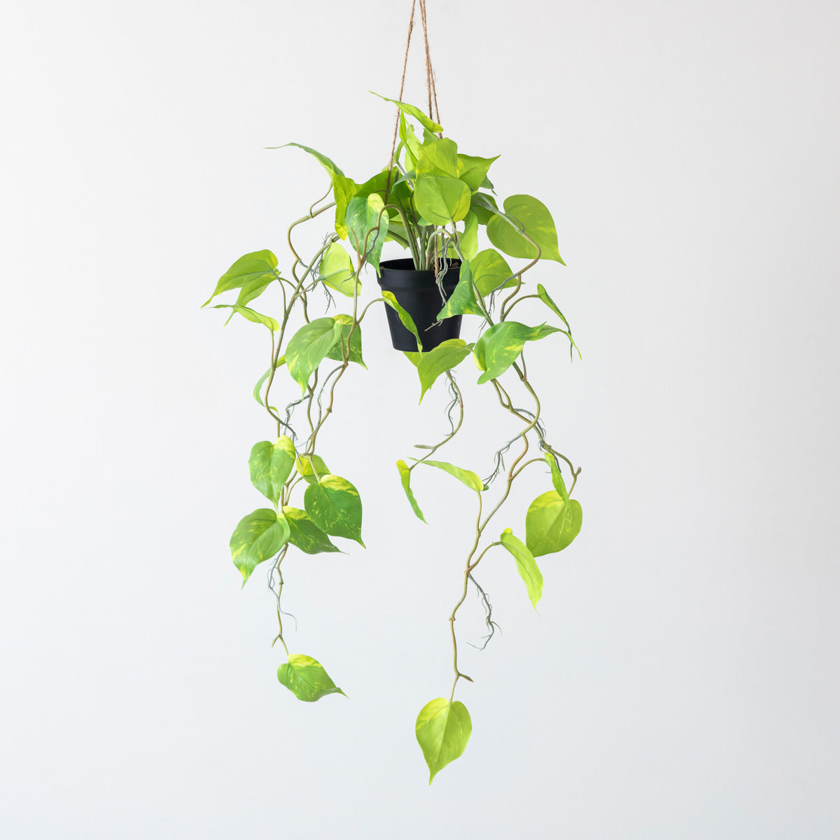 Artificial - Green フェイクグリーン ハンギング ポトス – KANADEMONO