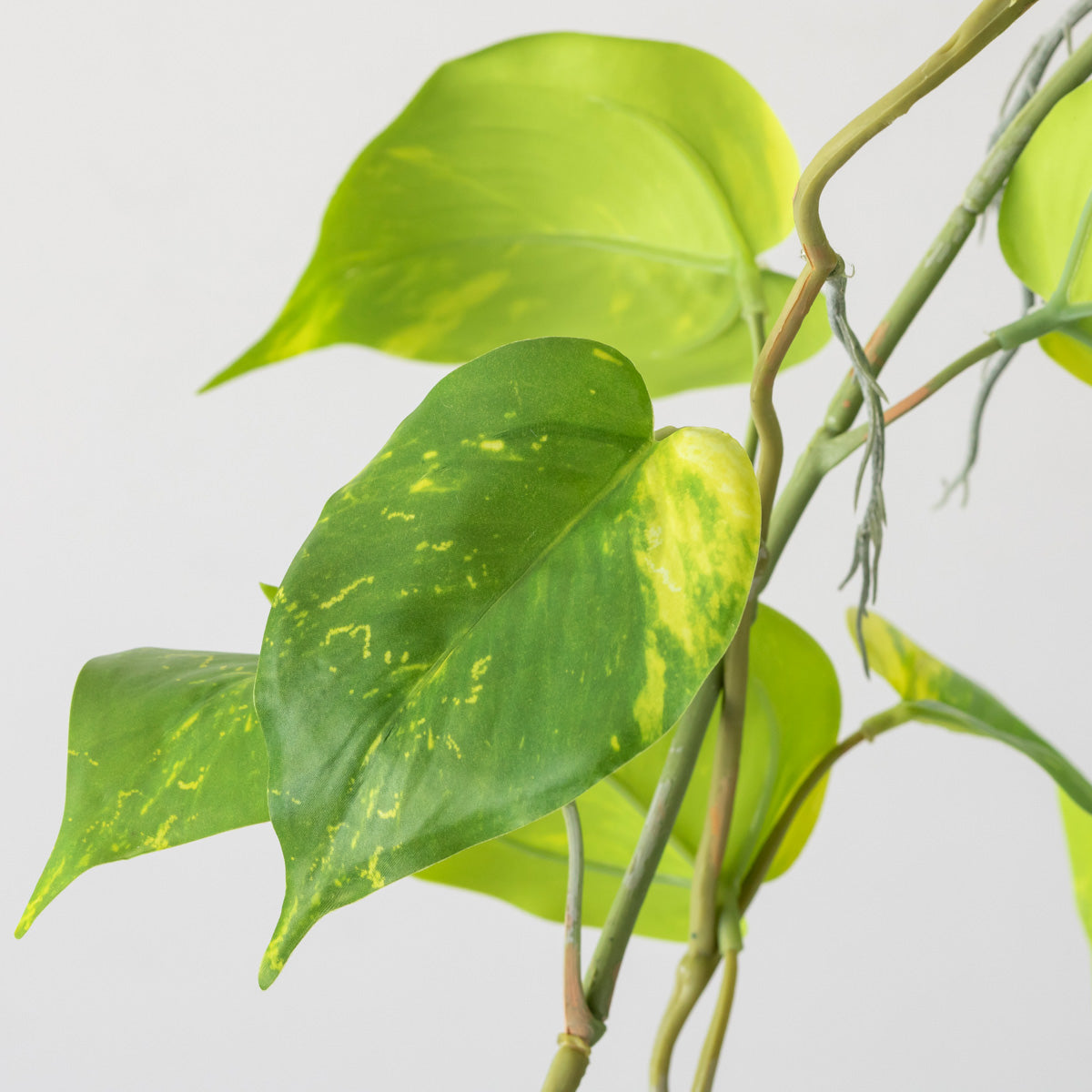 Artificial - Green フェイクグリーン ハンギング ポトス – KANADEMONO