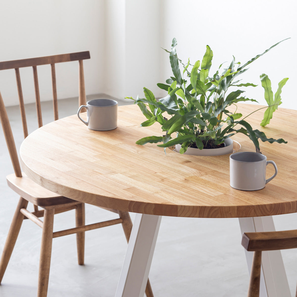 THE CAFE TABLE / ラバーウッド White Steel 4pin × ラウンド φ81 - 100 ワイヤーバスケット＋鉢カ – KANADEMONO