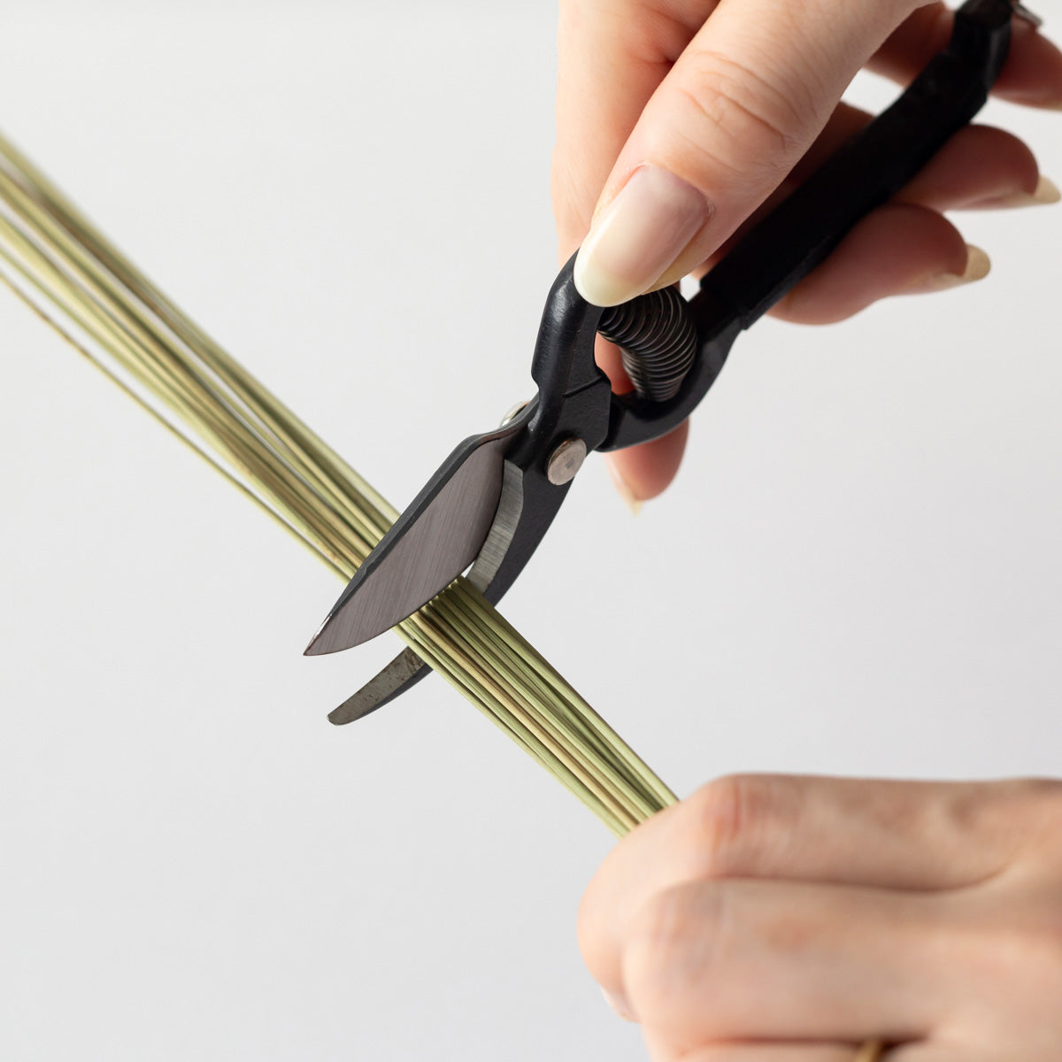 TATAMI NO MOTO い草をつかった インテリアグリーン – KANADEMONO