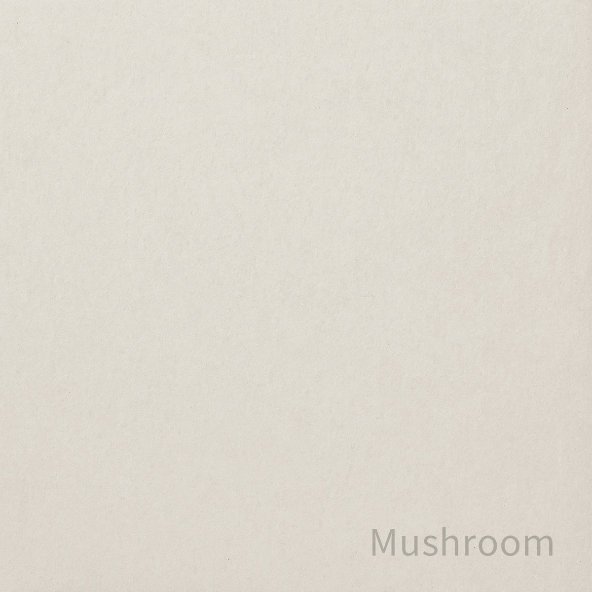 THE BOARD / リノリウム 全24色 - ラウンド – KANADEMONO