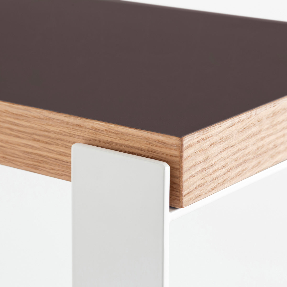 THE SHELF / リノリウム 全21色 × White Steel – KANADEMONO