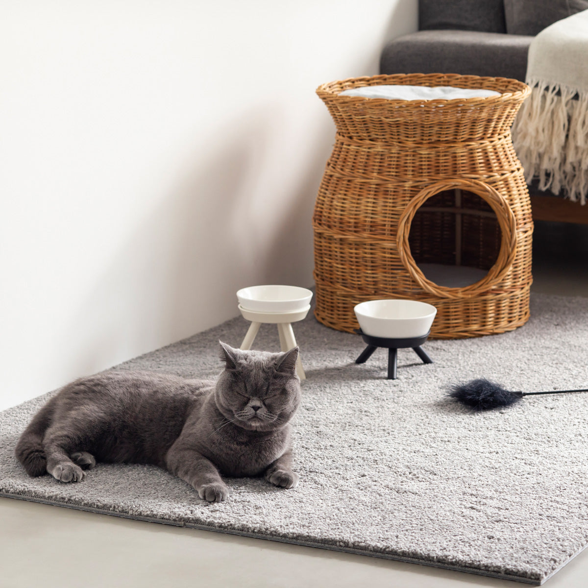 Simple Functional Joint Rug 6 set – KANADEMONO