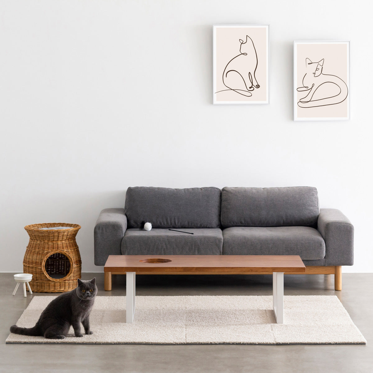 Simple Functional Joint Rug 6 set – KANADEMONO